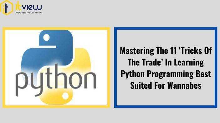 Mastering The 11 ‘Tricks Of The Trade’ In Learning Python Programming ...